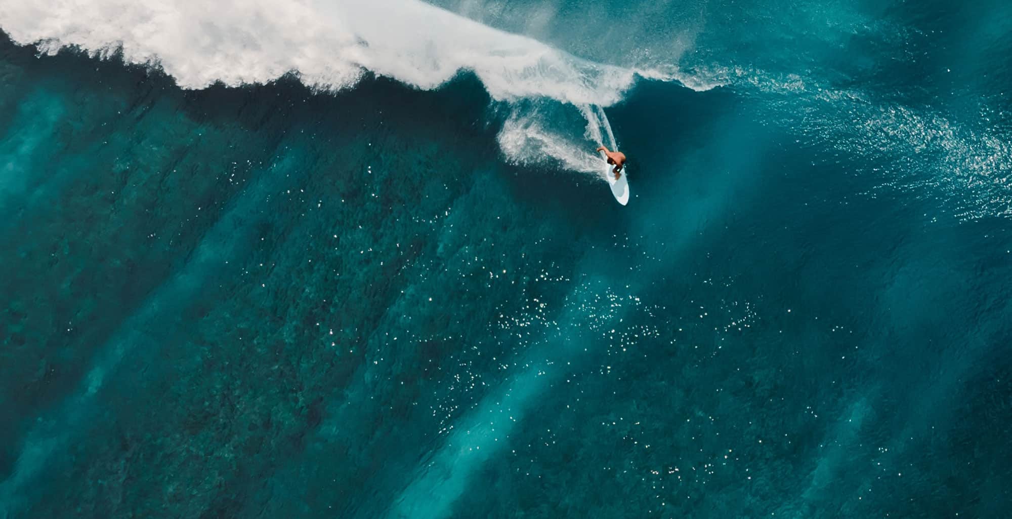 Finance Jobs | IT Jobs | Accounting Jobs | TSP